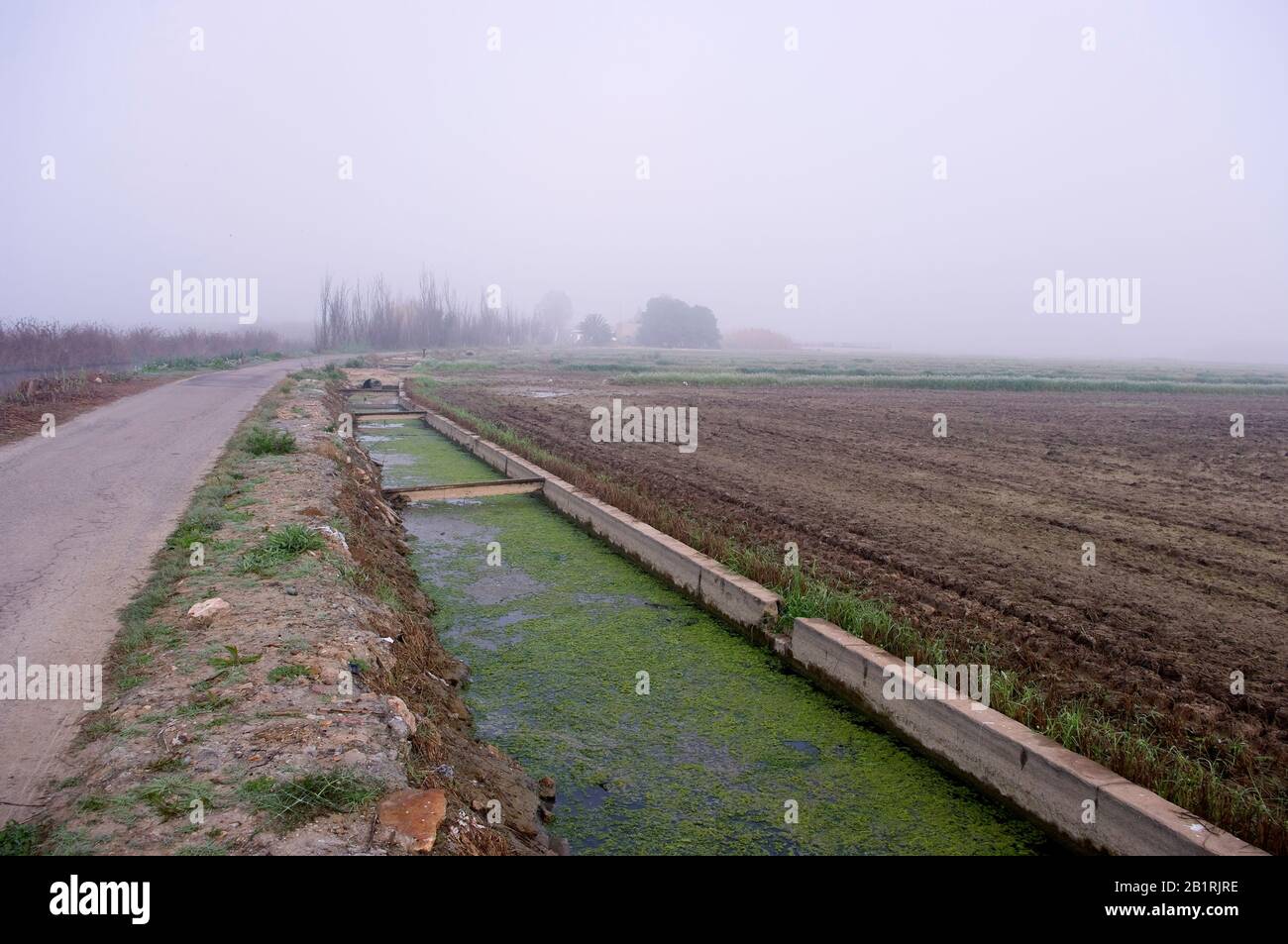 Water channel and road to the infinity of fog Stock Photo - Alamy
