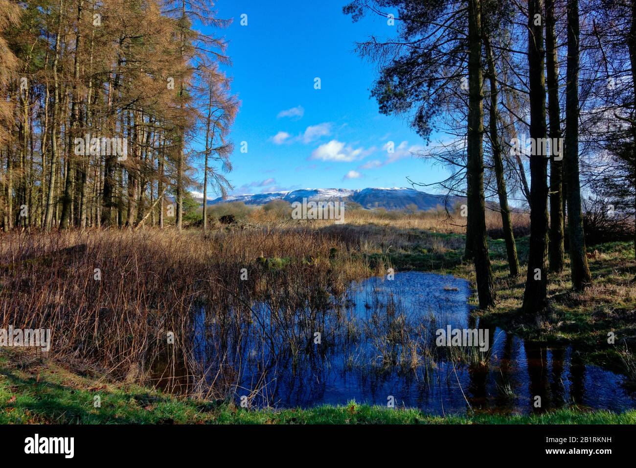 Loch leven heritage trail hi-res stock photography and images - Alamy