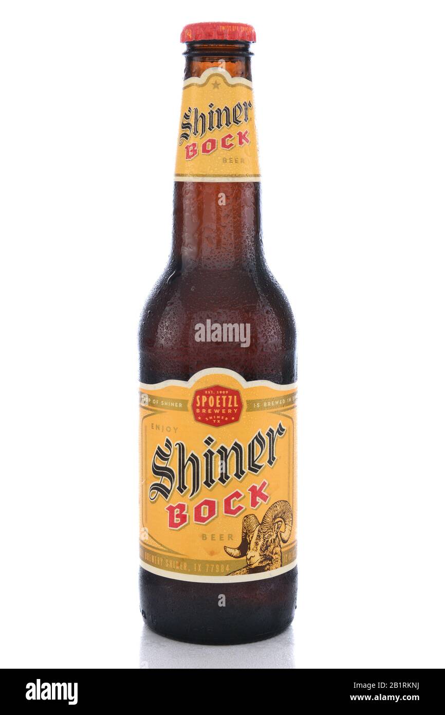 Shiner Beer Wallpaper
