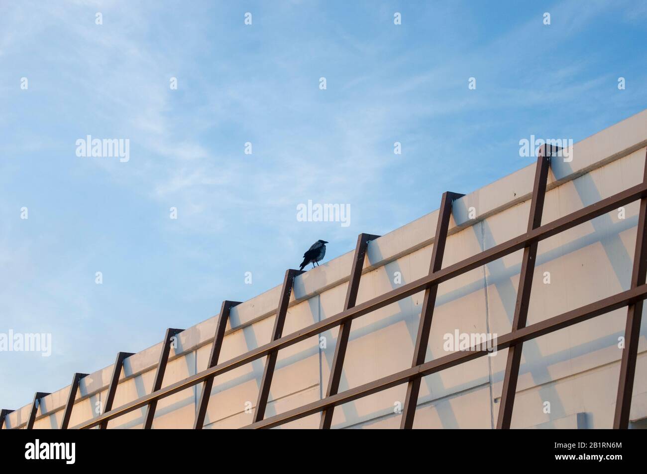 Big Ladder on The Wall Stock Photo - Alamy