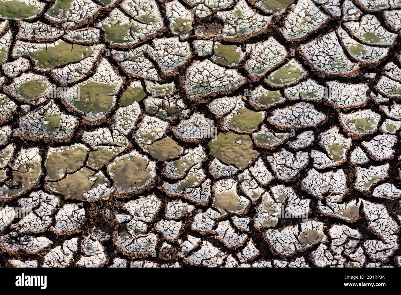Destroyed earth planet hi-res stock photography and images - Alamy