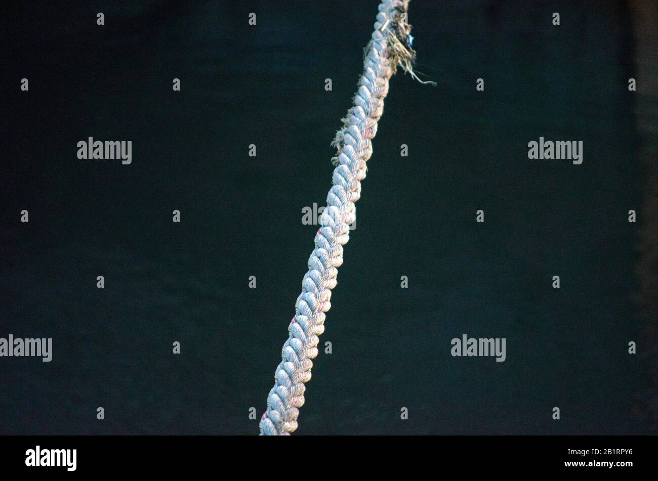 Old Mossy Rope in The Sea Stock Photo - Alamy