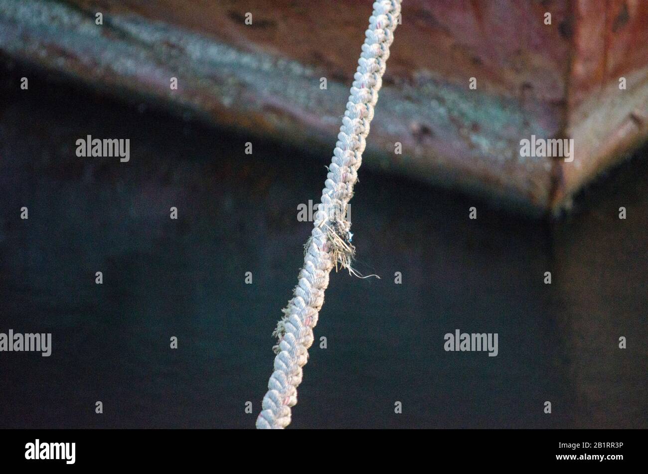 Mossy rope hi-res stock photography and images - Alamy