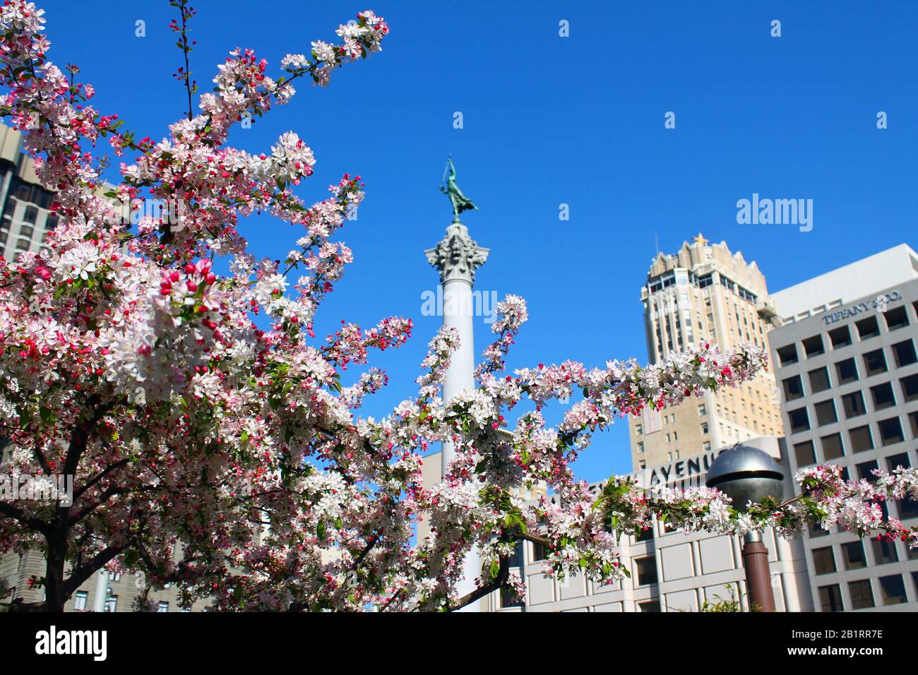 San francisco flower market hi-res stock photography and images - Alamy