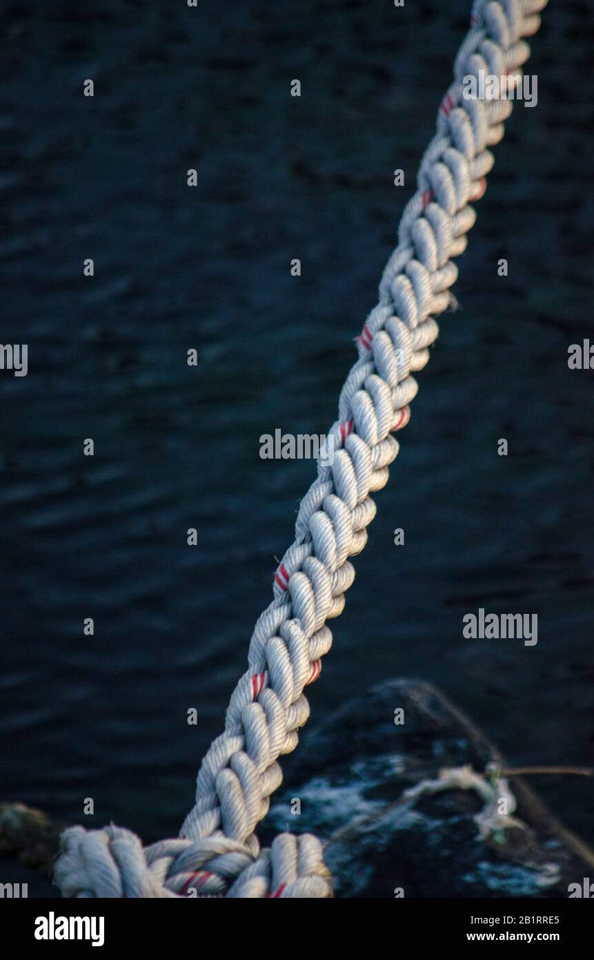 Old Mossy Rope in The Sea Stock Photo - Alamy