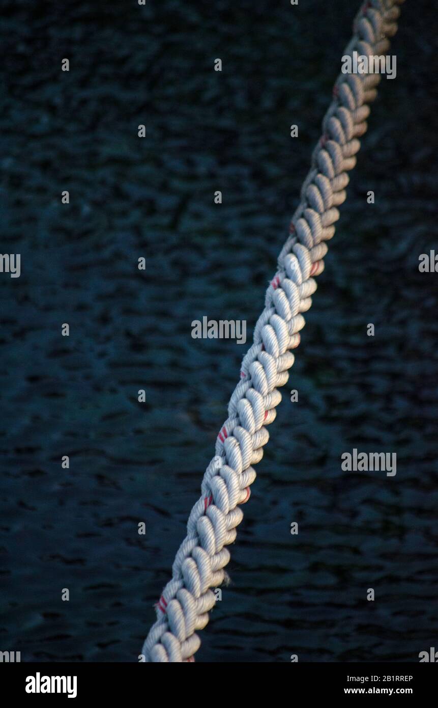 Old Mossy Rope in The Sea Stock Photo - Alamy