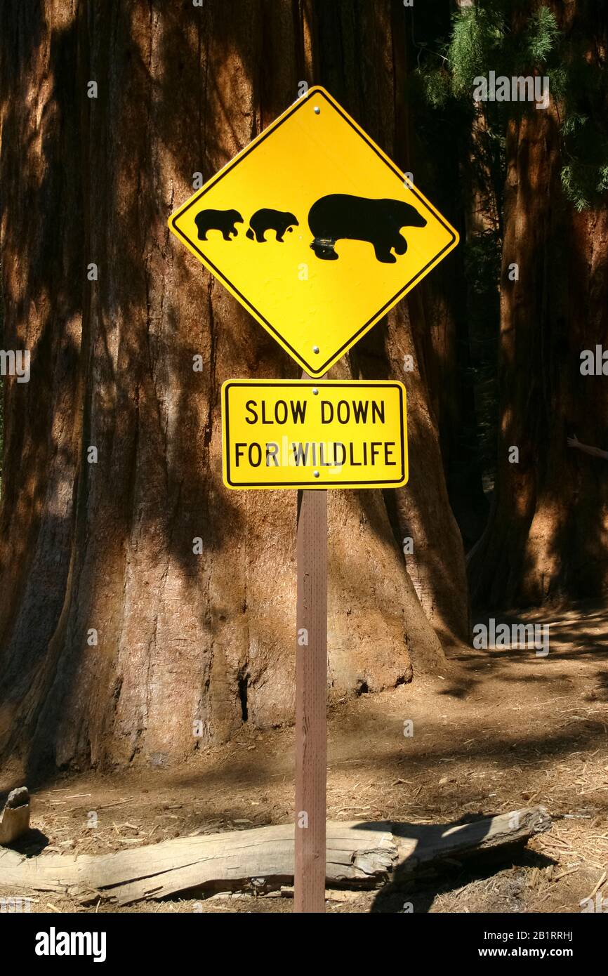 Road sign, Redwood National Park, California, USA Stock Photo - Alamy