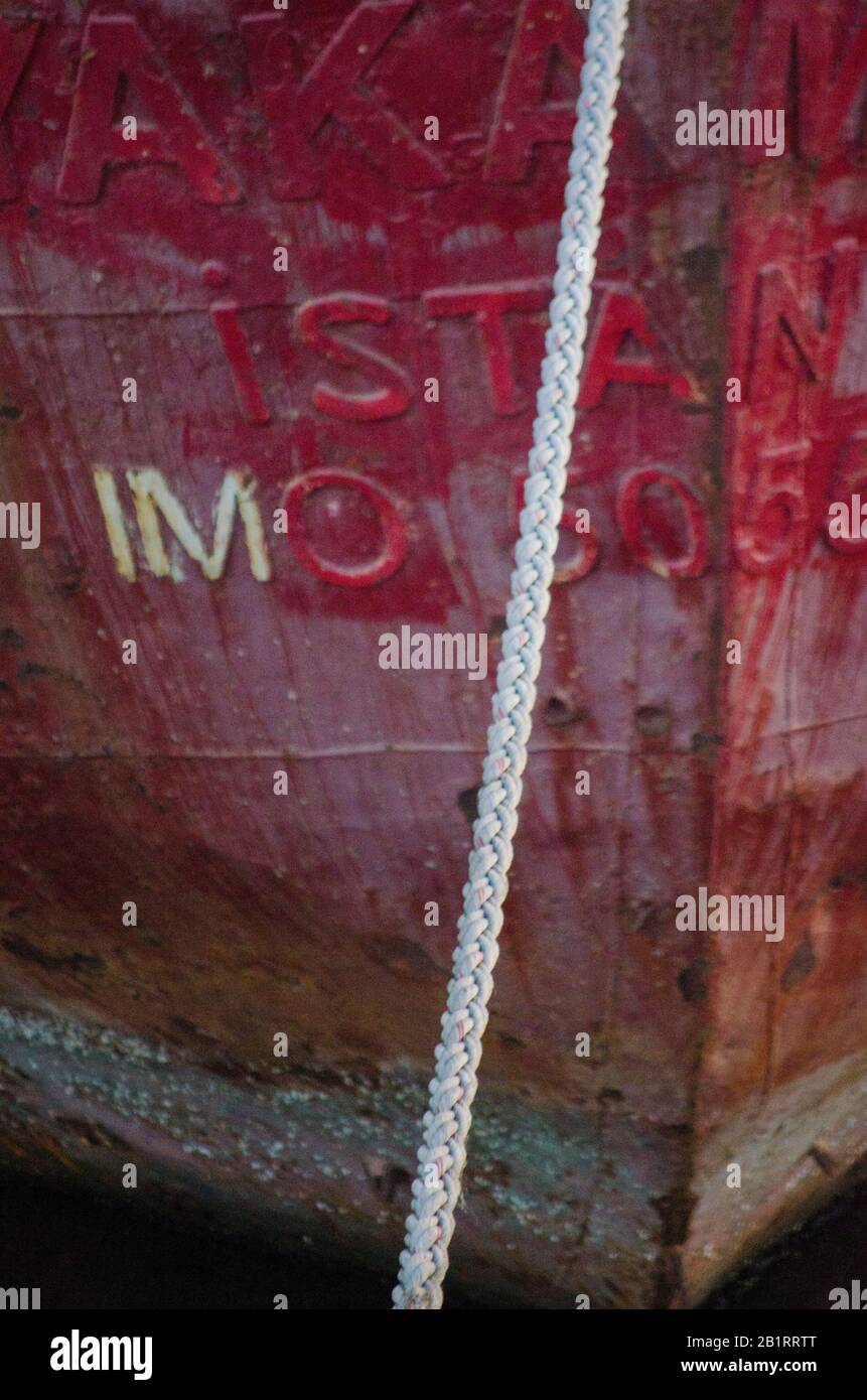 Old Mossy Rope in The Sea Stock Photo - Alamy