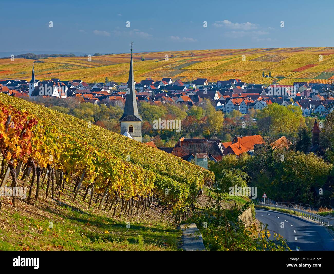 Escherndorf and Nordheim with vineyards on the Mainschleife, Lower ...