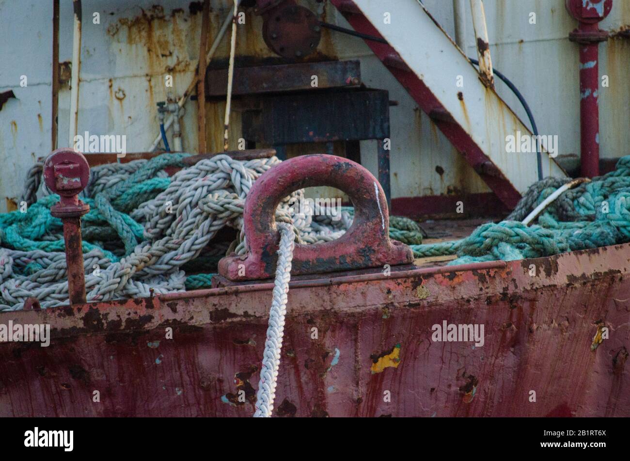 Old Mossy Rope in The Sea Stock Photo - Alamy
