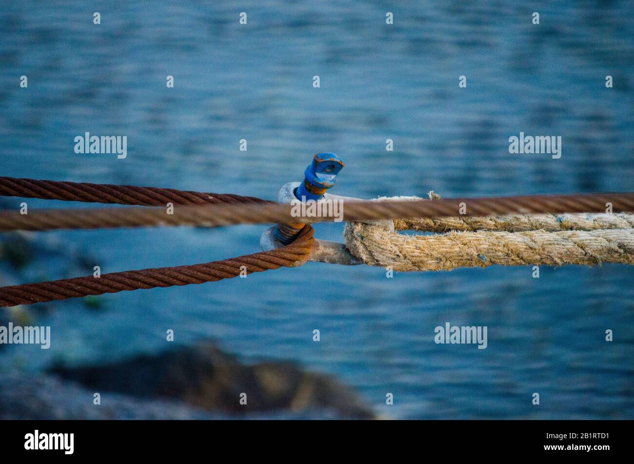 Old Mossy Rope in The Sea Stock Photo - Alamy
