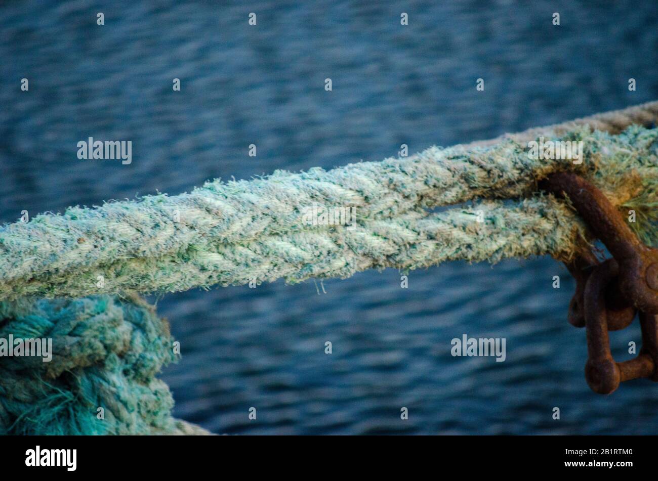 Old Mossy Rope in The Sea Stock Photo - Alamy
