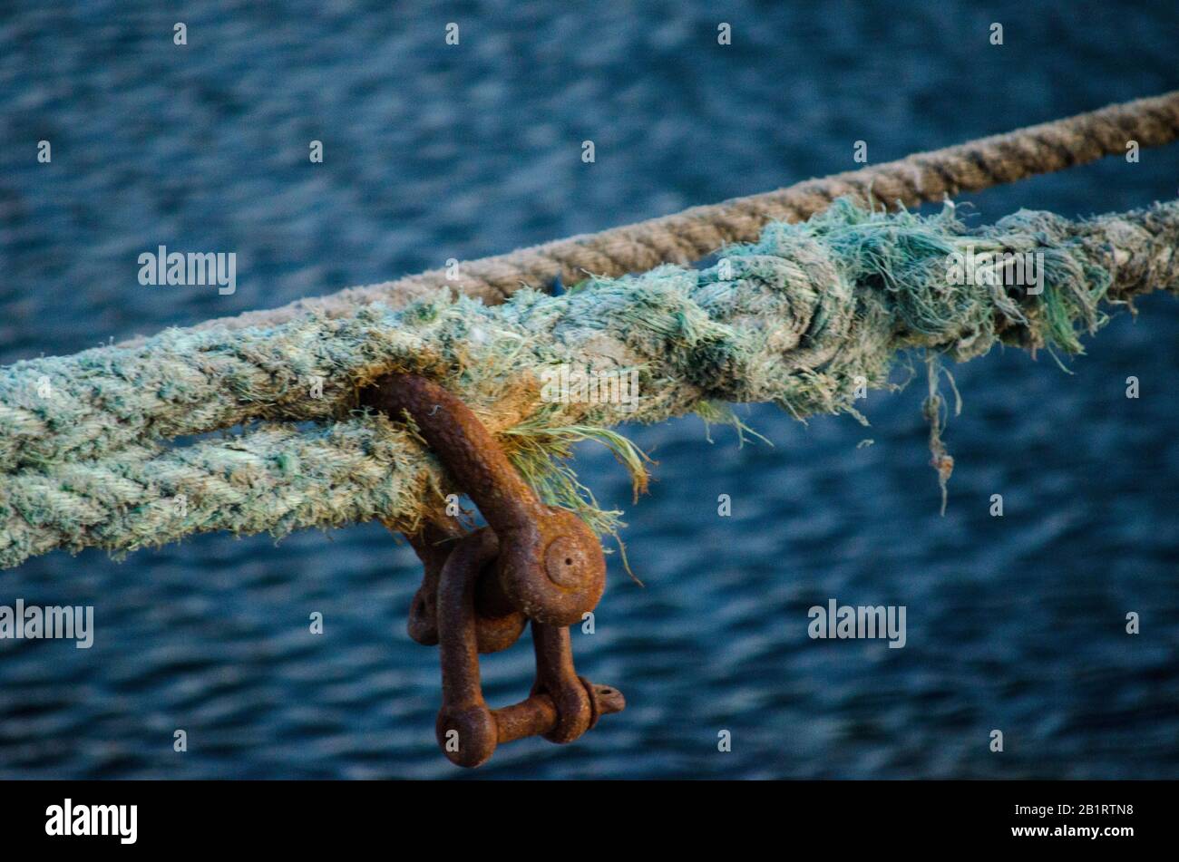 Old Mossy Rope in The Sea Stock Photo - Alamy