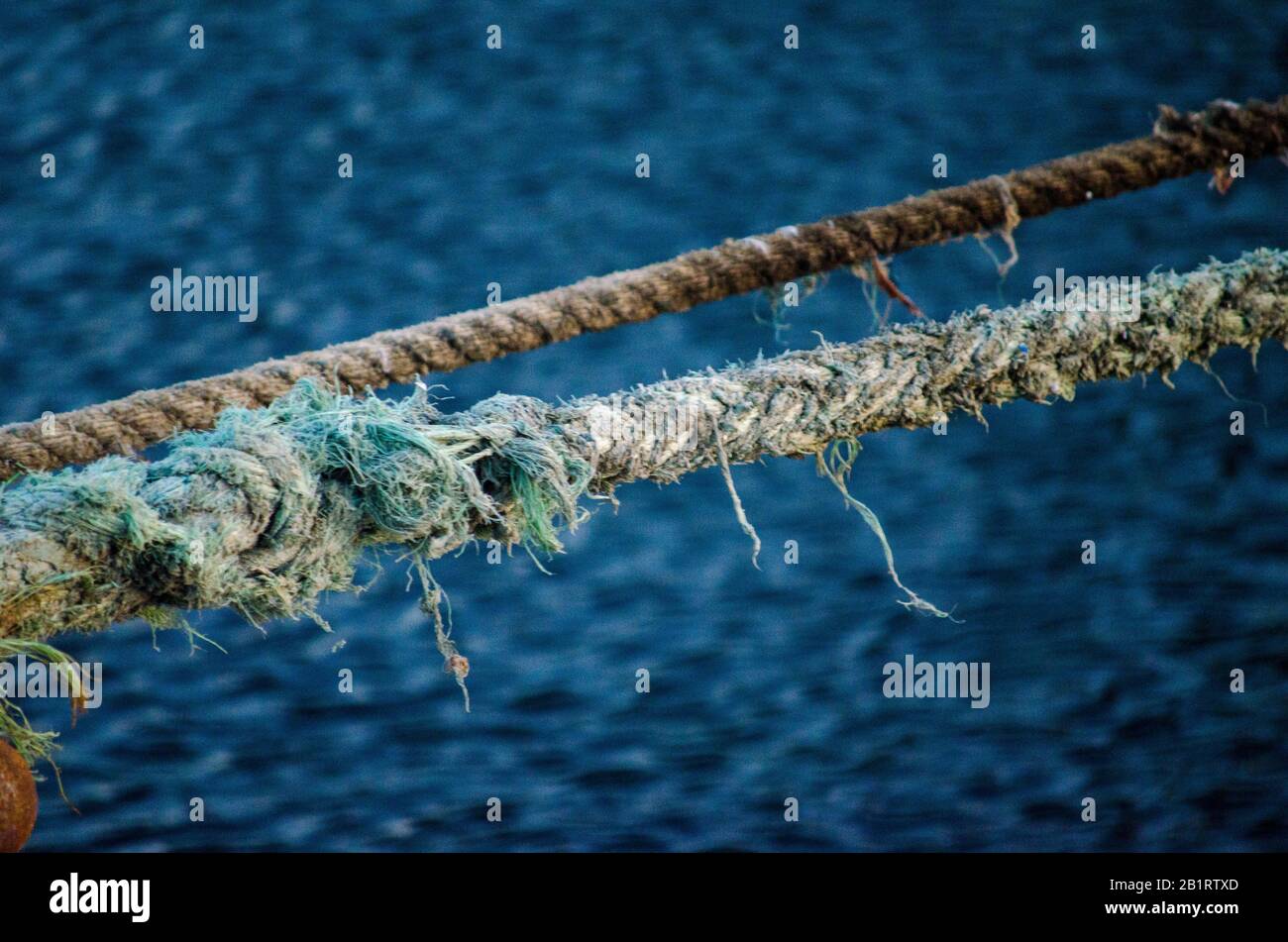 Old Mossy Rope in The Sea Stock Photo - Alamy