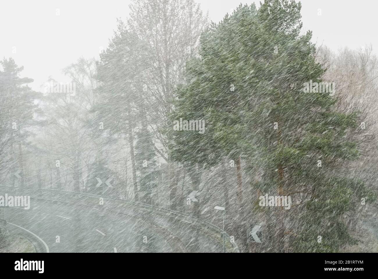 Heavy winds hi-res stock photography and images - Alamy