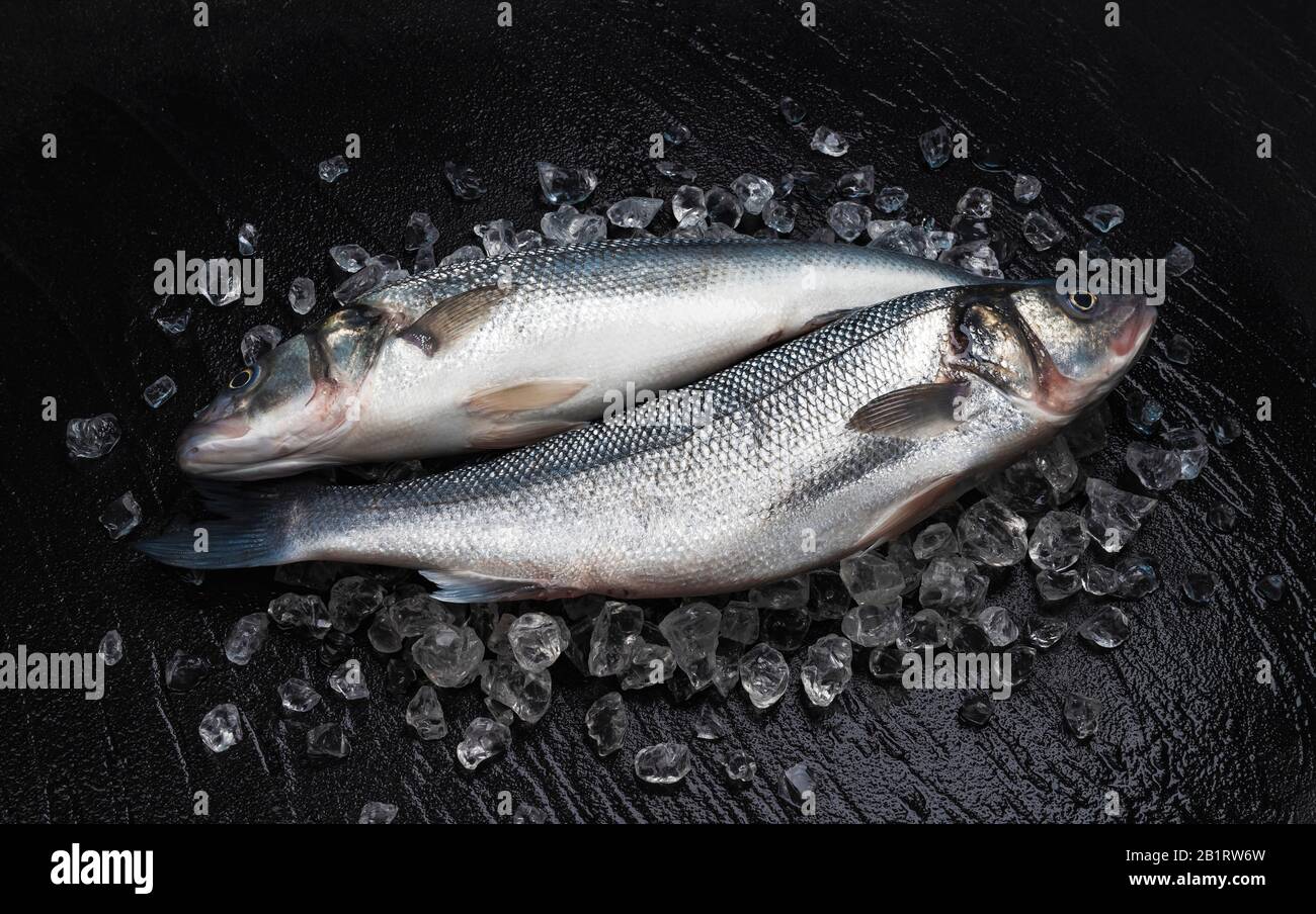 Black bass fish hi-res stock photography and images - Alamy