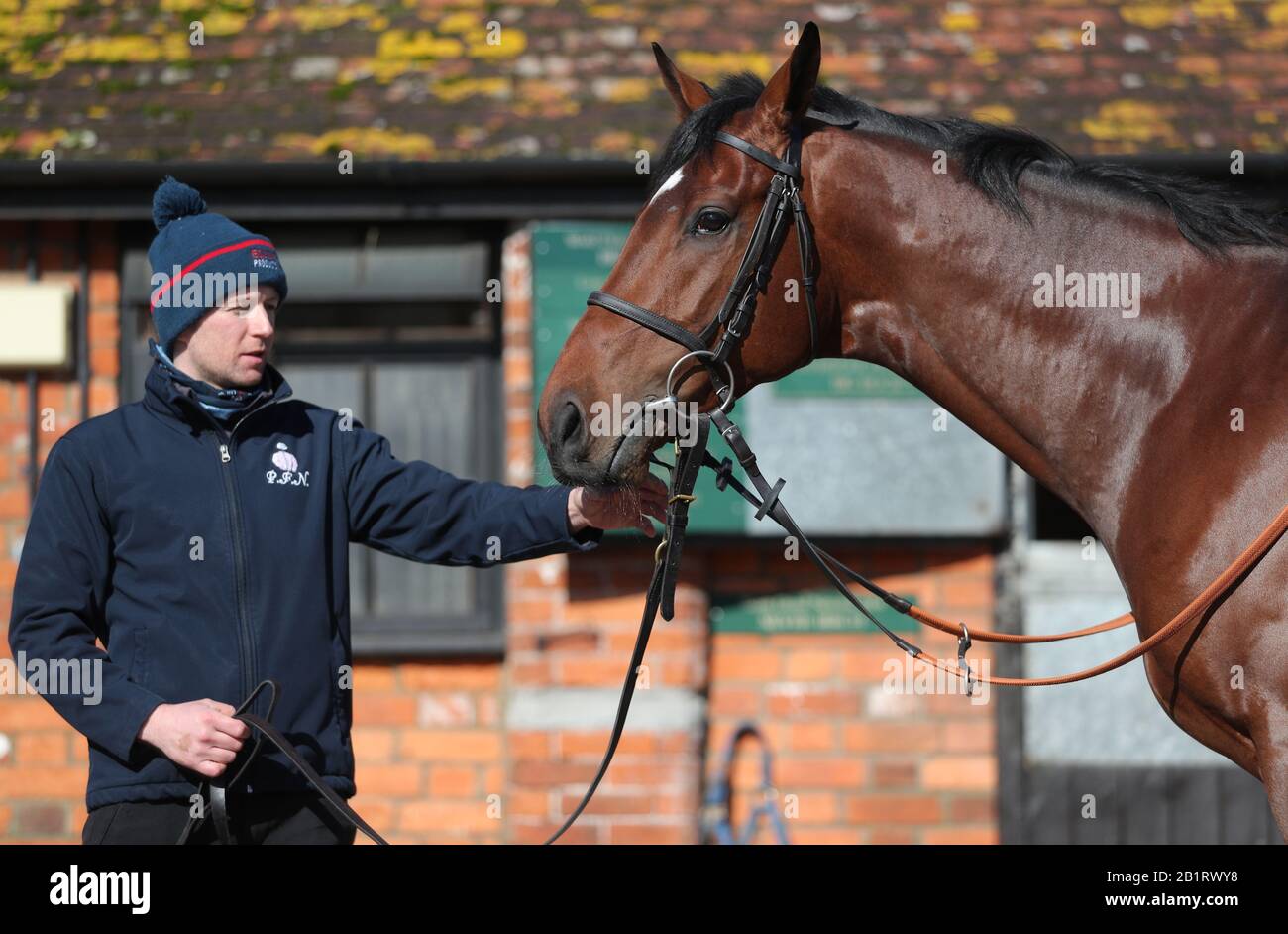 Solo is paraded around the yard during the visit to Manor Farm Stables ...
