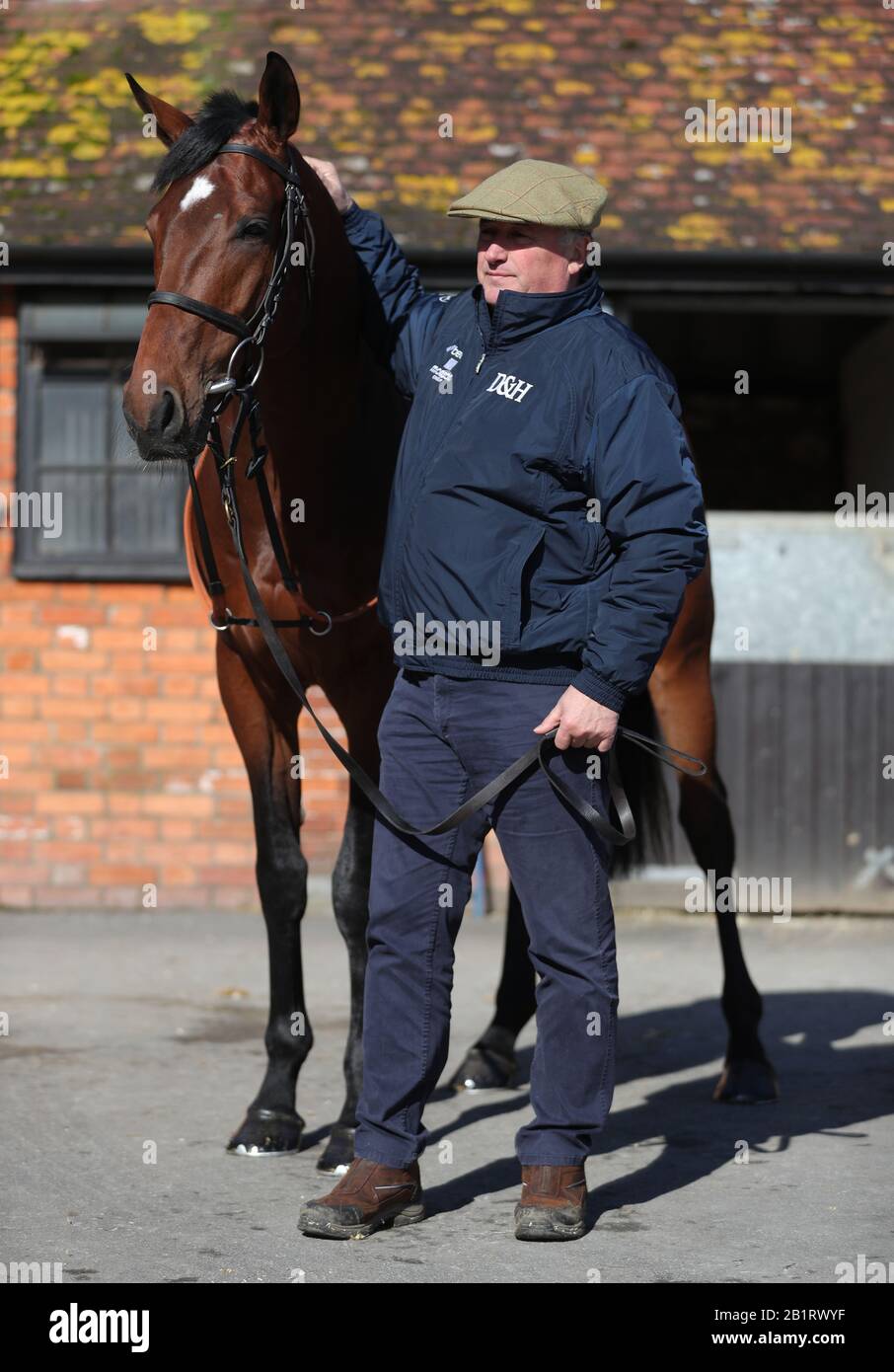 Trainer Paul Nicholls poses for a photograph with Solo in the yard ...