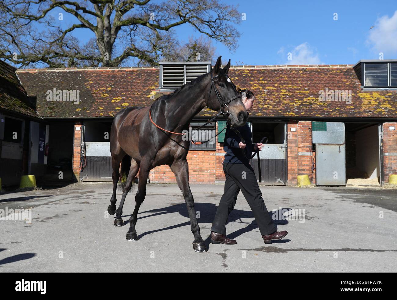 Dynamite Dollars is paraded around the yard during the visit to Manor ...