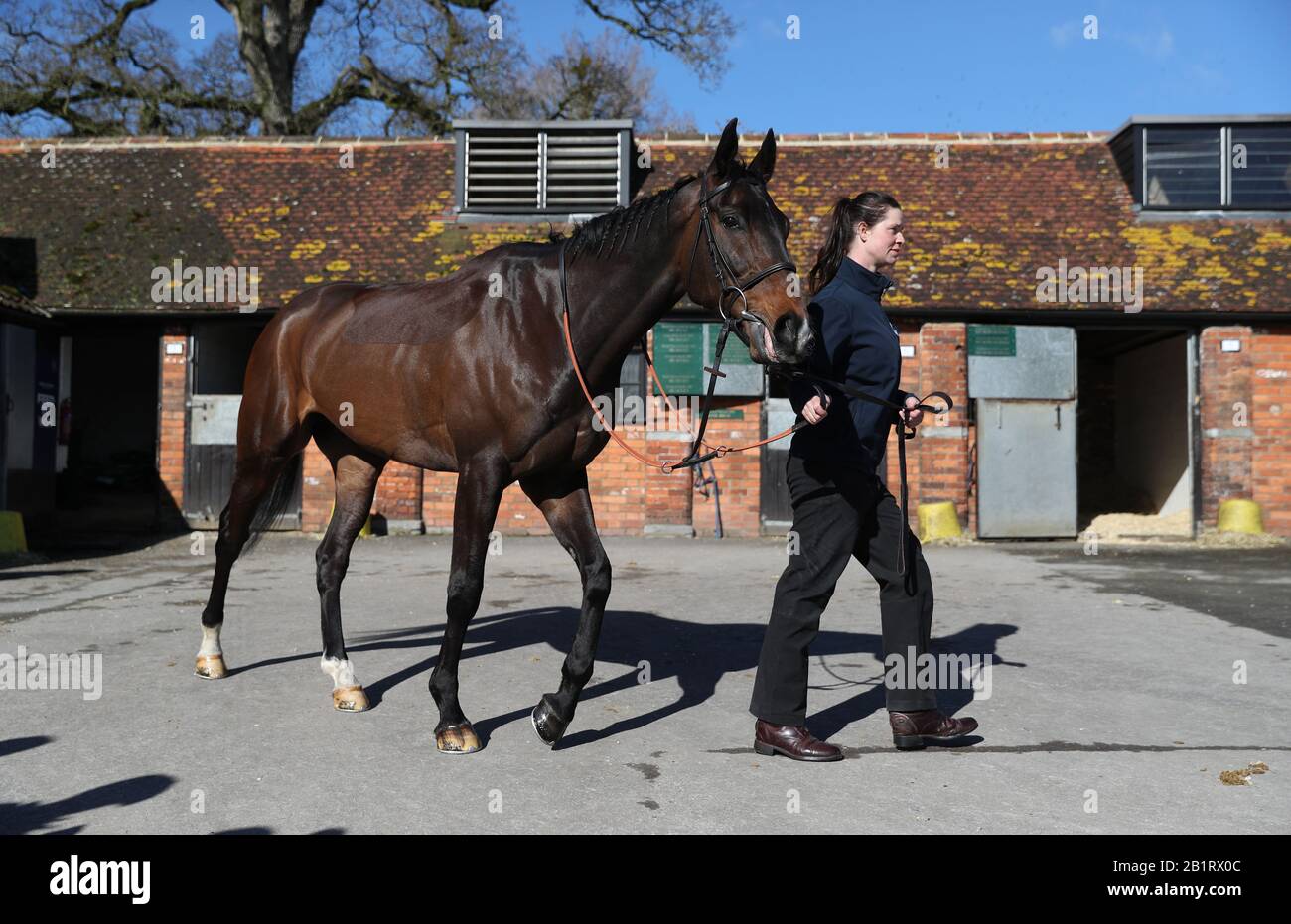 Frodon is paraded around the yard during the visit to Manor Farm ...