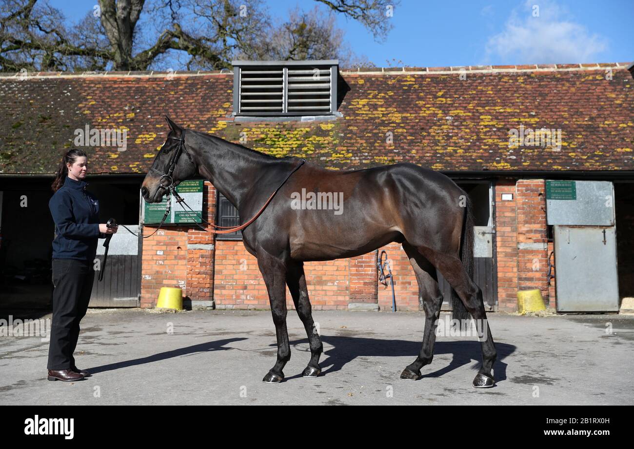 Dynamite Dollars is paraded around the yard during the visit to Manor ...