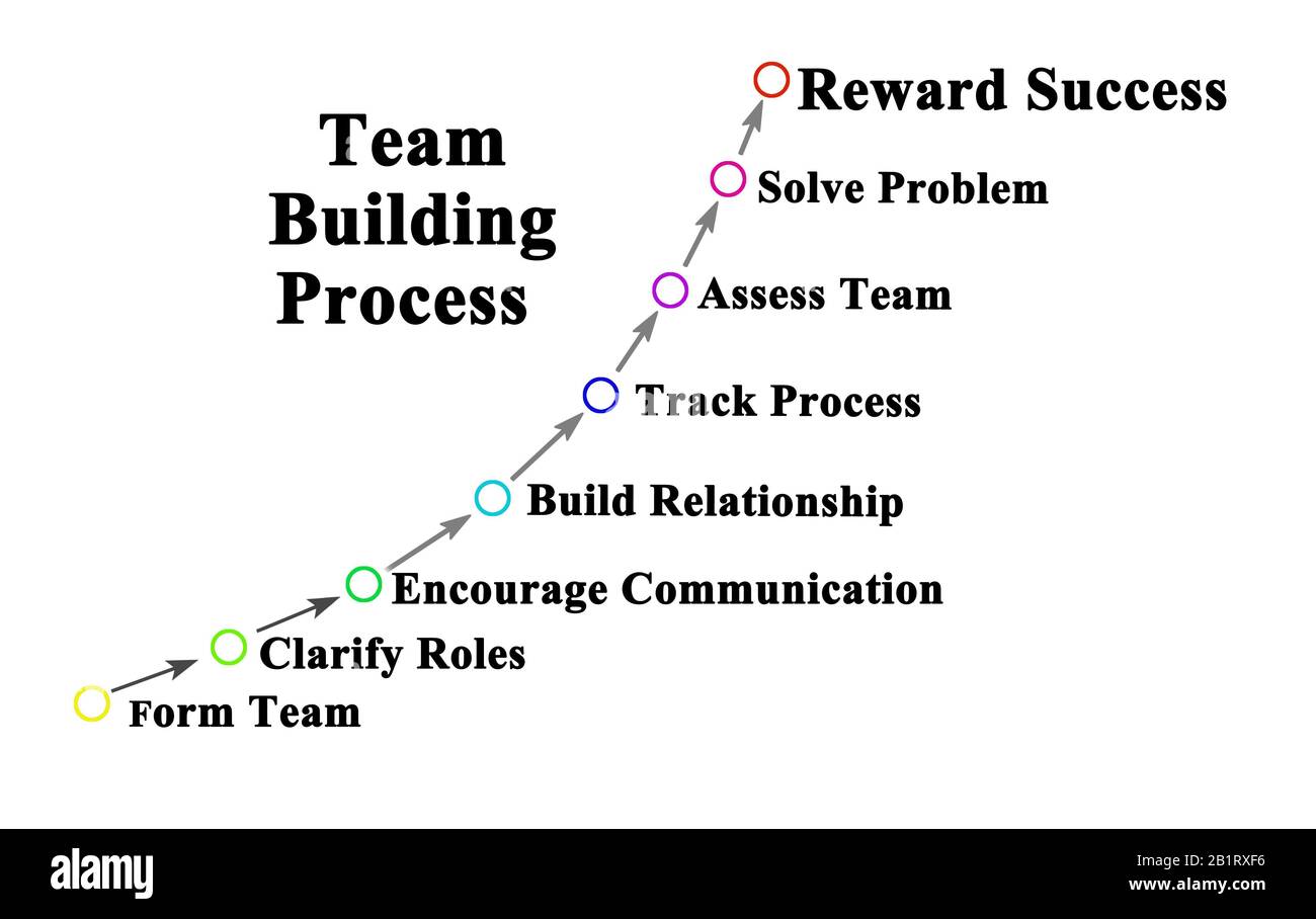 Steps in Team Building Process Stock Photo - Alamy