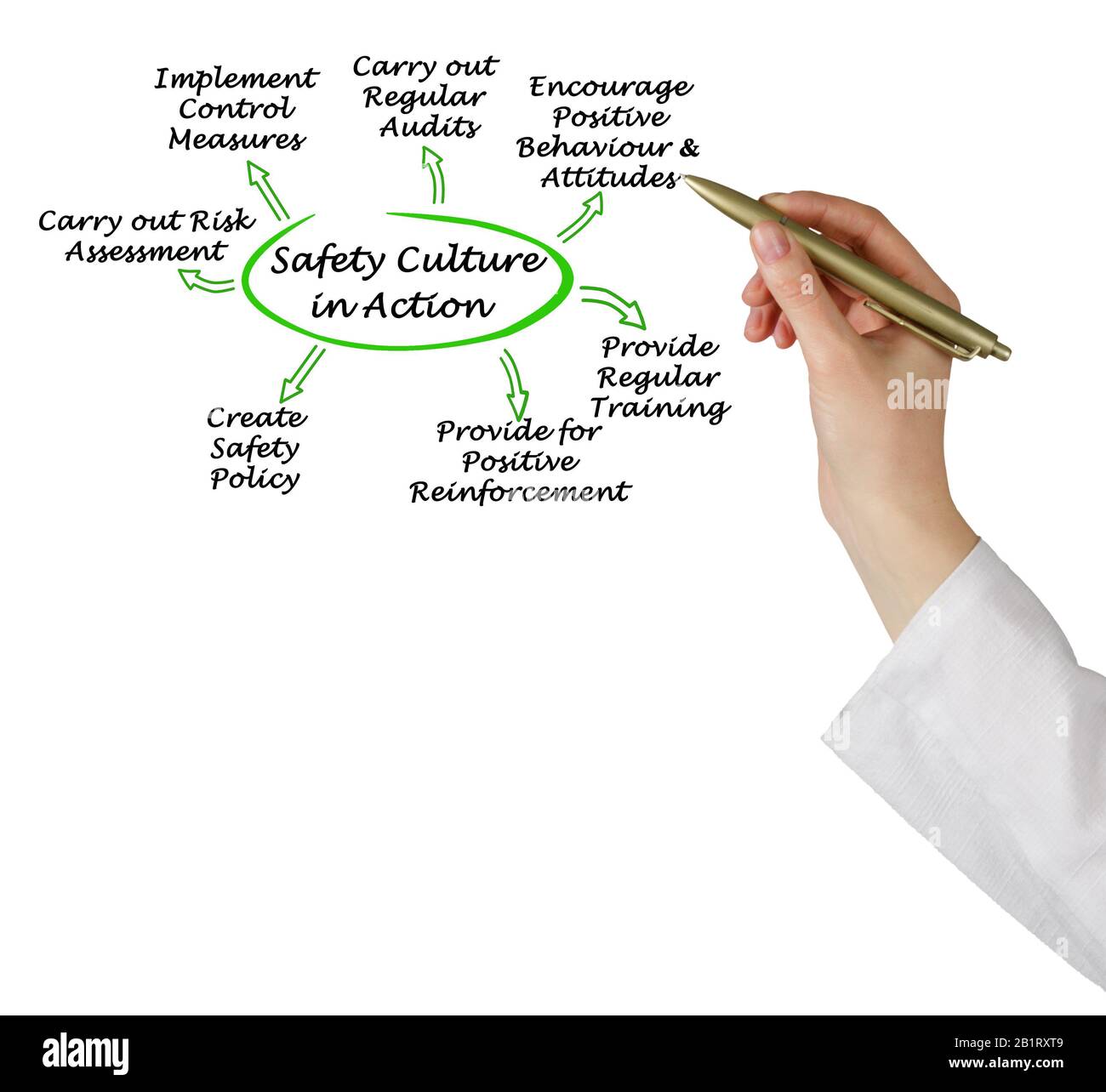 Safety Culture Action Plan at Sandra Blevins blog