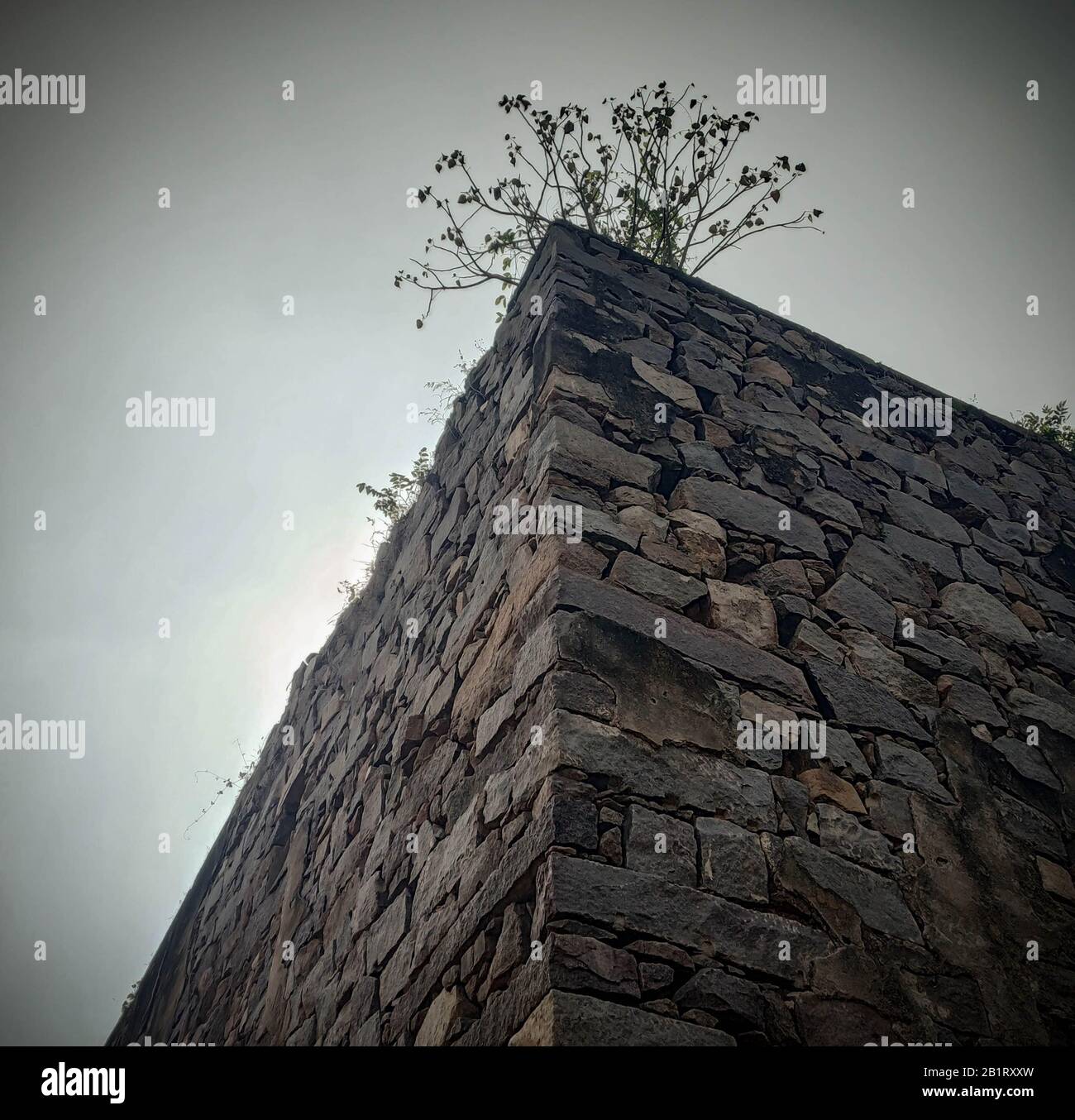 Low Angles High Resolution Stock Photography and Images - Alamy