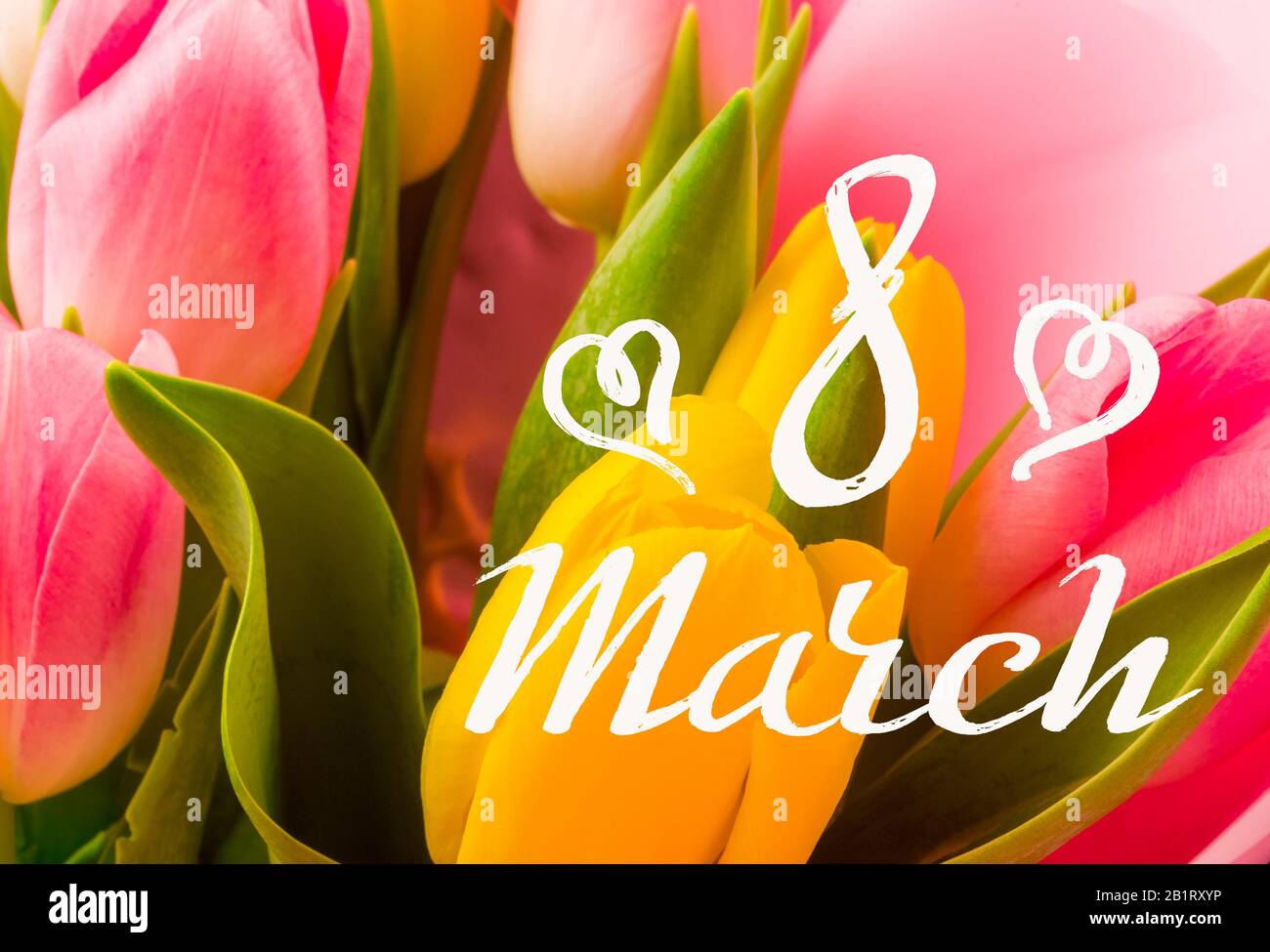 Greeting card - a bouquet of fresh spring pink and yellow tulips ...