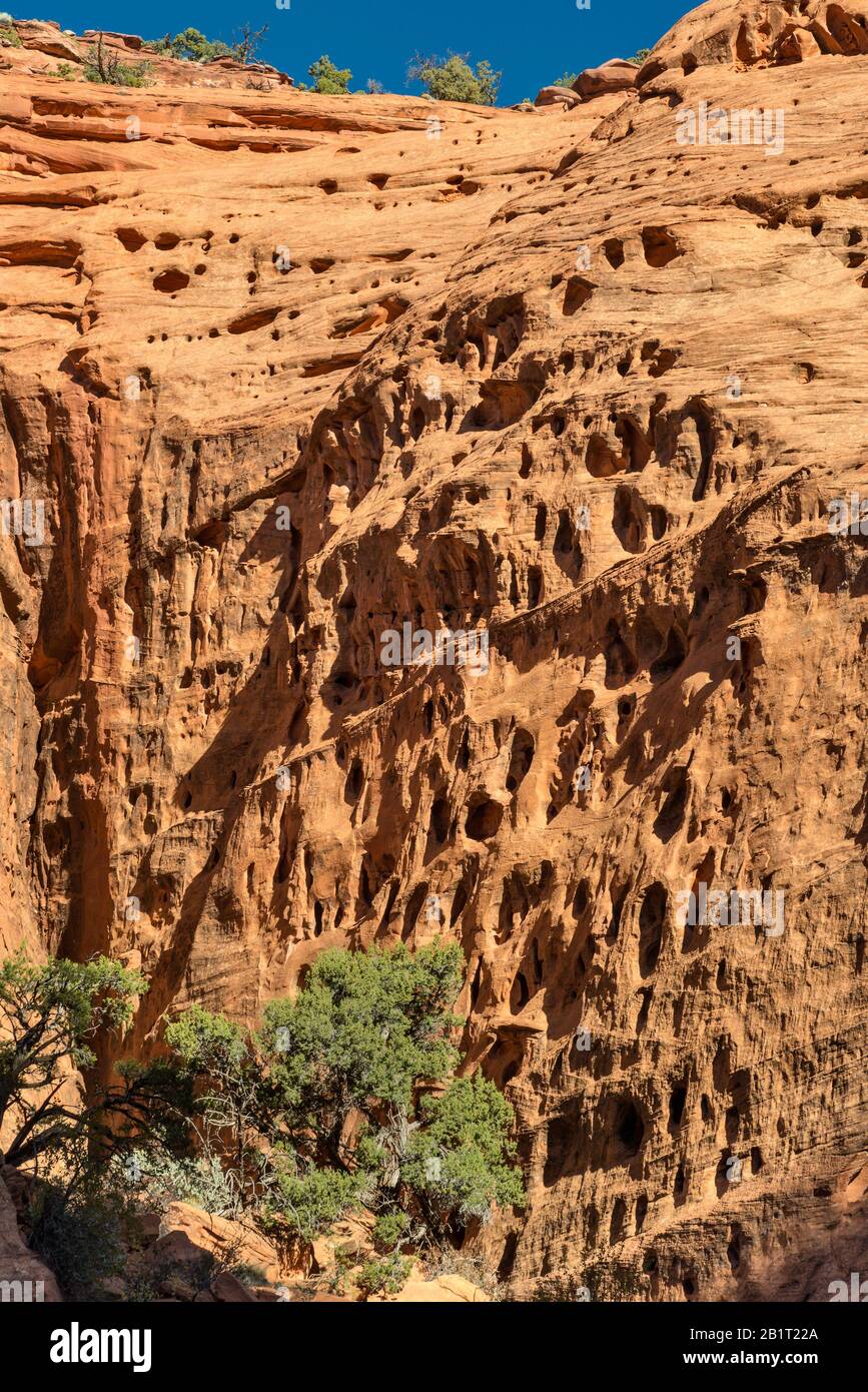 Flood-eroded holes at Wingate Sandstone rocks at Long Canyon, Burr ...