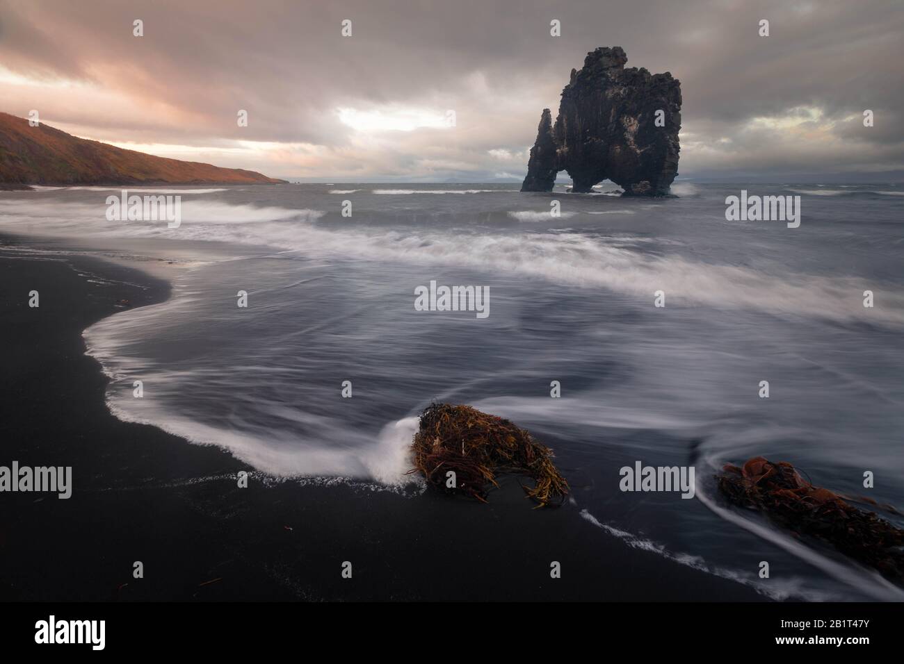 Rhino atlantic hi-res stock photography and images - Alamy