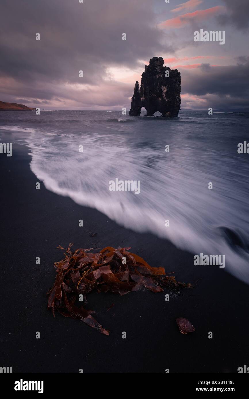 Rhino atlantic hi-res stock photography and images - Alamy