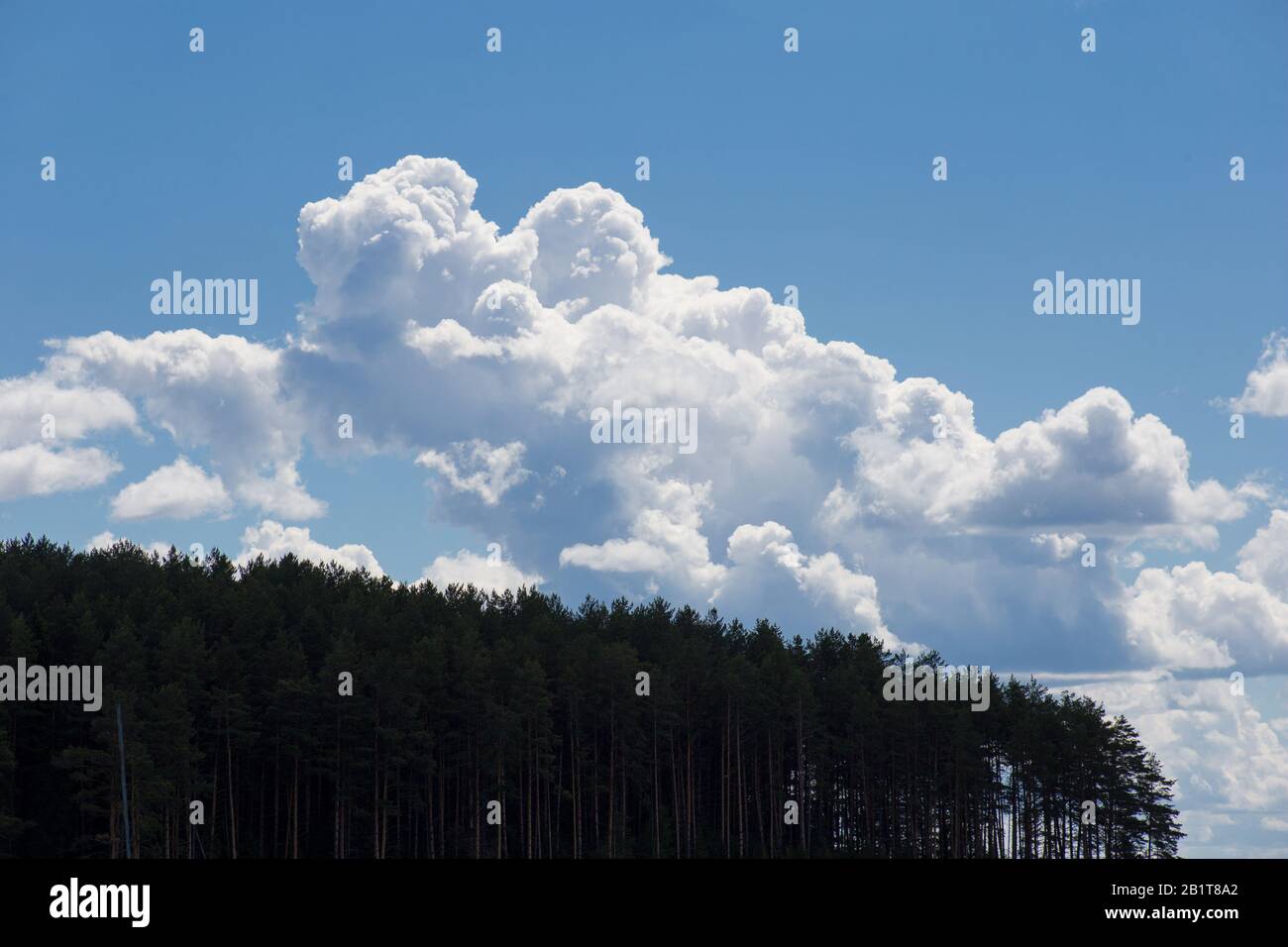 Big rain clouds in bright sunlights over a green forest. Live planet ...