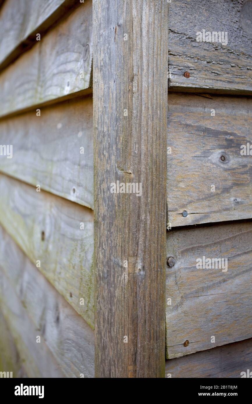 Corner of featheredge boarding on barn Stock Photo - Alamy