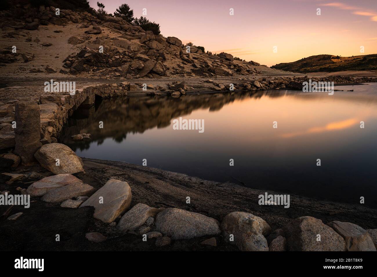 Acena hi-res stock photography and images - Alamy