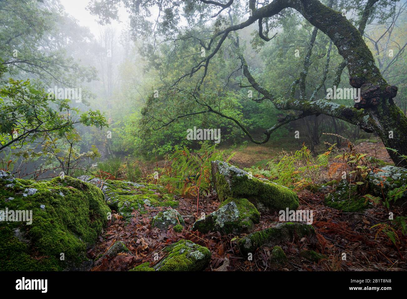 Magic moment nature hi-res stock photography and images - Alamy