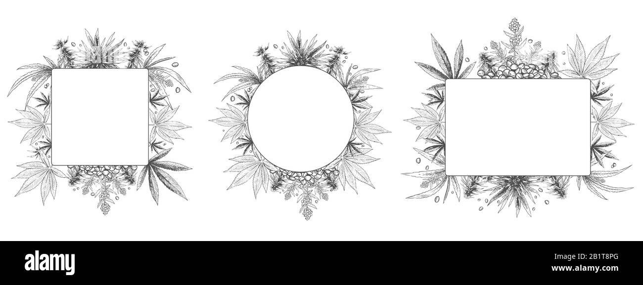 Hemp frame. Hand drawn cannabis plant, sketch hemp leaf and marijuana ...