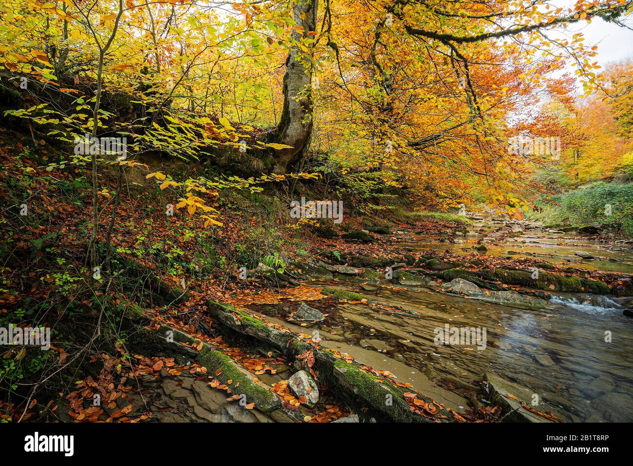 Irati river landscape hi-res stock photography and images - Alamy