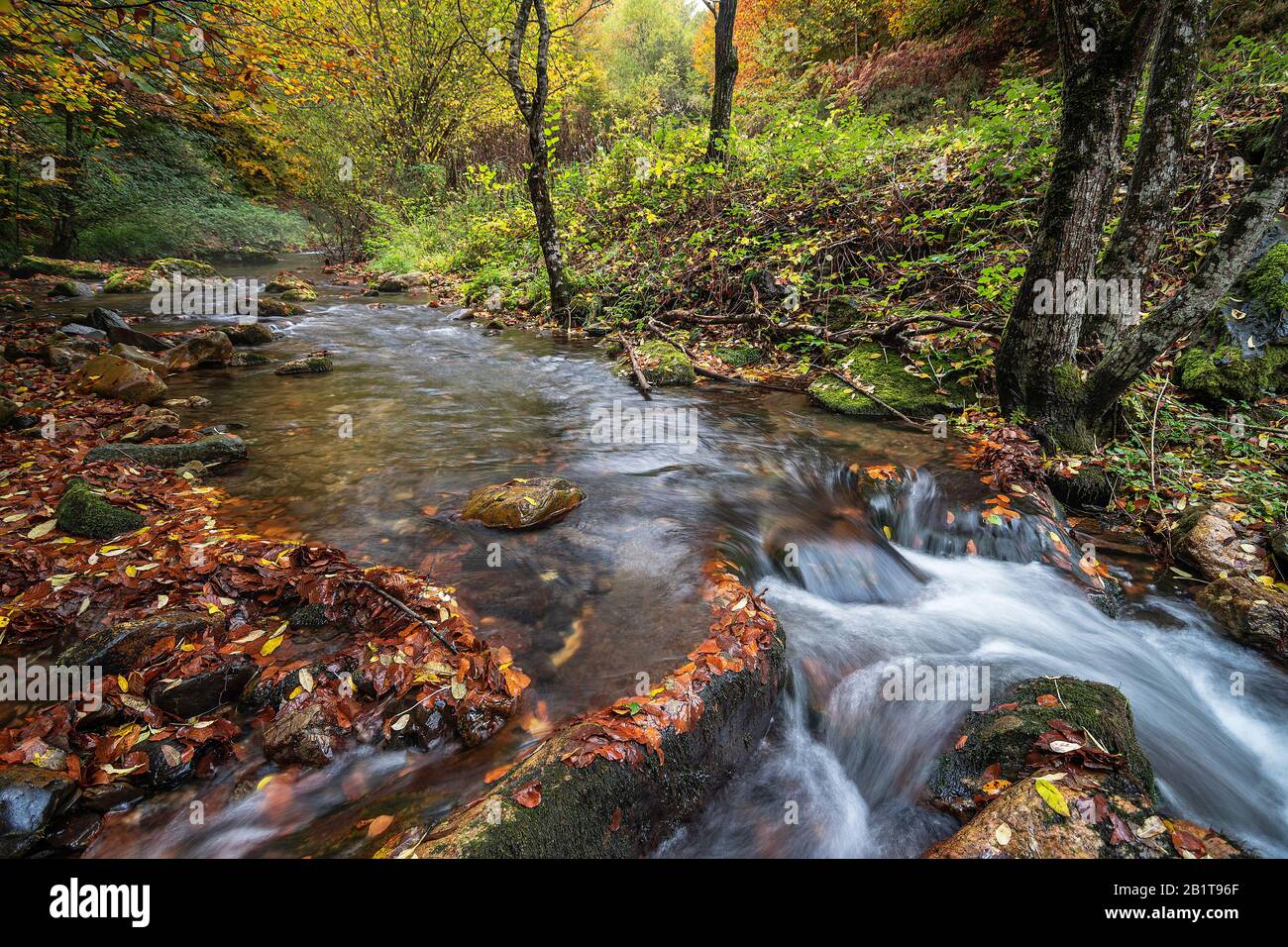 Nature and flow hi-res stock photography and images - Alamy
