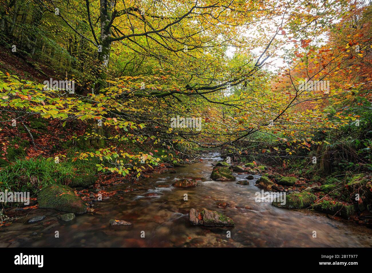 Irati river hi-res stock photography and images - Alamy