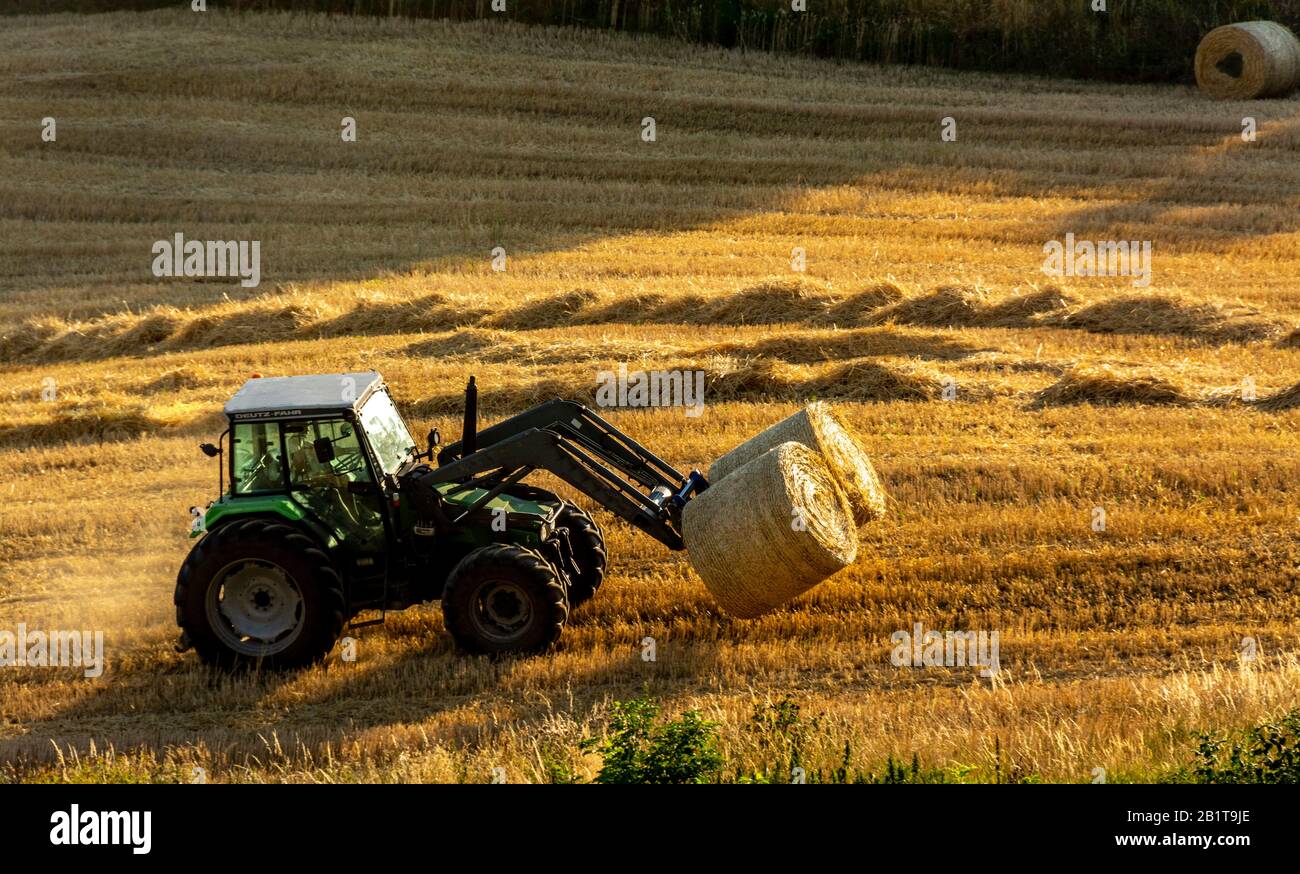 Tractor loading hay bales, Haute-Loire, Auvergne-Rhone-Alpes, France ...