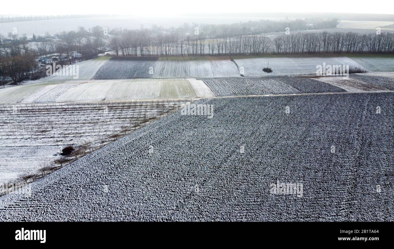 Snow and bad weather in the spring through which winter crops are lost ...