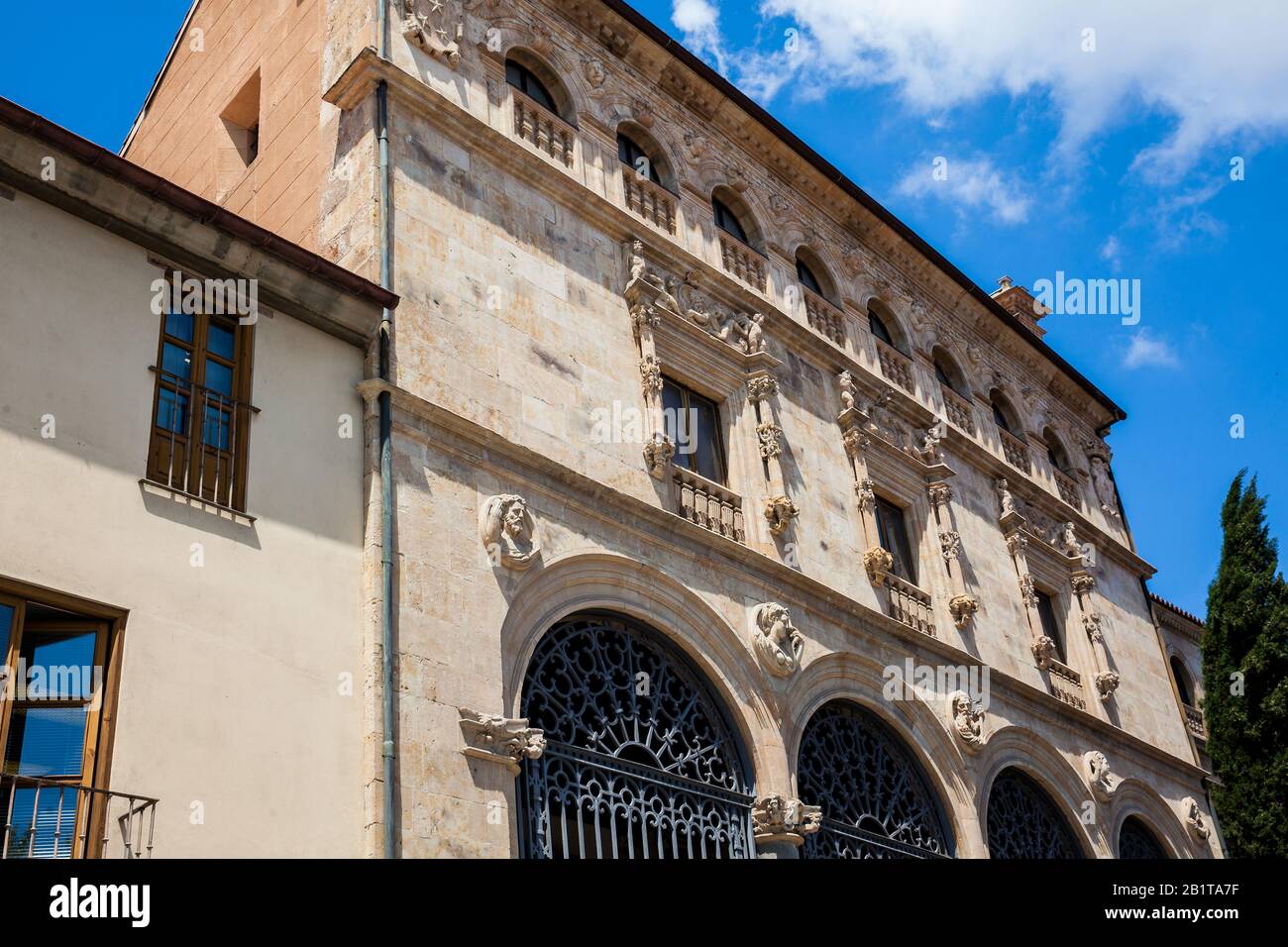 Facade of the historical Palacio de la Salina a Plateresque style with ...