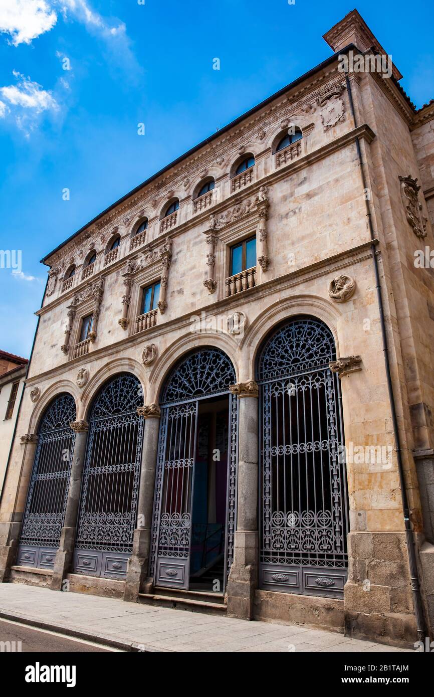 Facade of the historical Palacio de la Salina a Plateresque style with ...