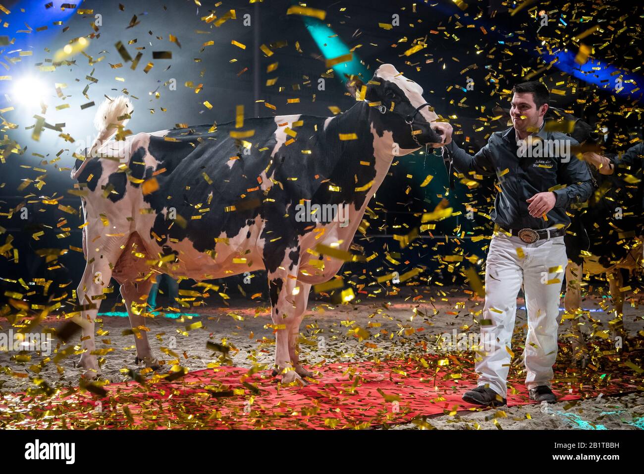 27 February 2020, Lower Saxony, Verden: Winning cow Fux Seattle and ...