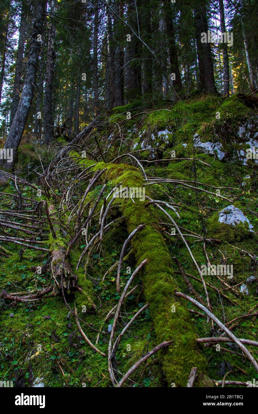 Fractured core hi-res stock photography and images - Alamy