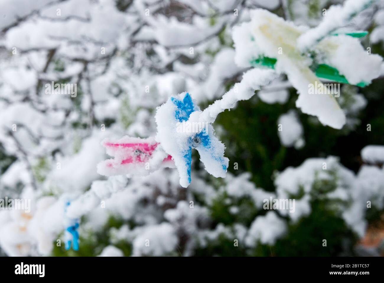 Brightly coloured plastic pegs hanging from a washing line covered in ...