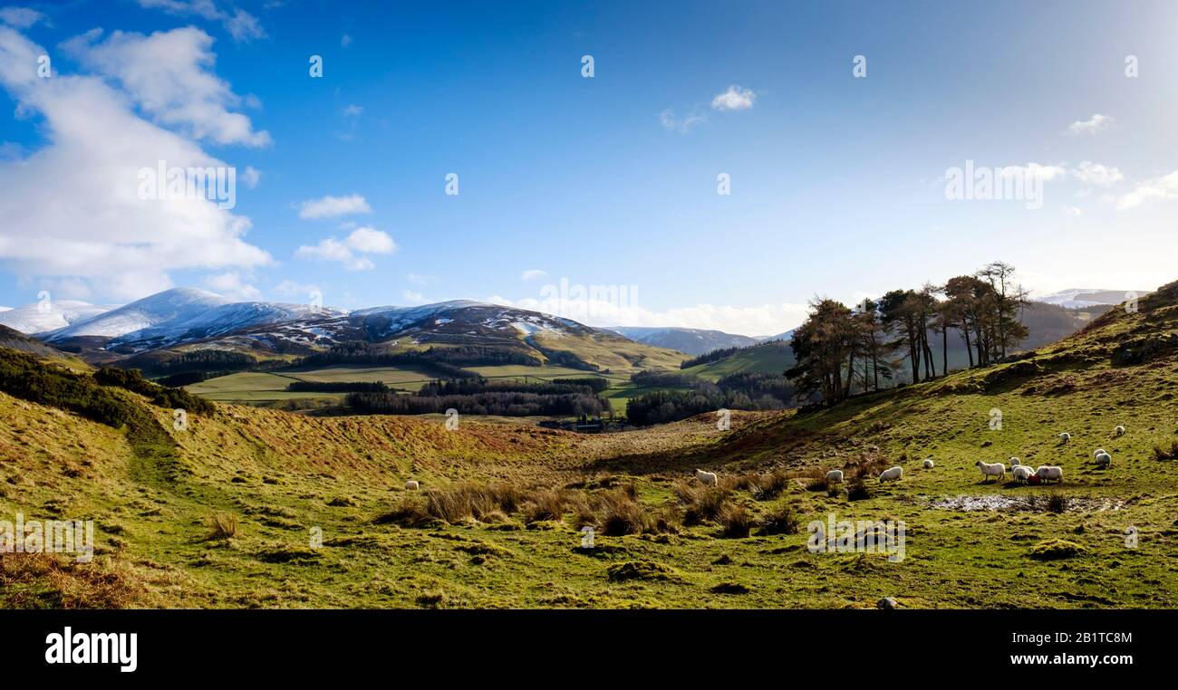 Winter landscape in the Scottish BOrders near the small village of ...