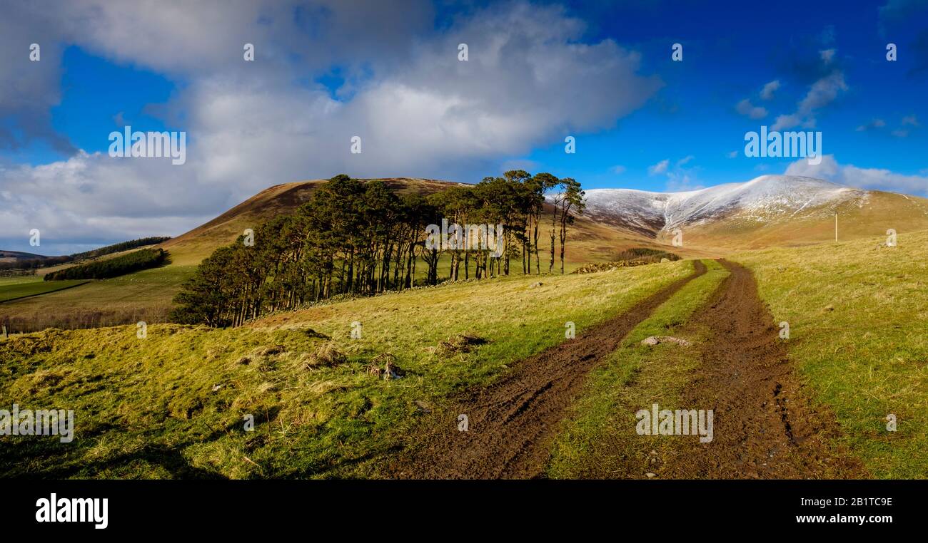 Winter landscape in the Scottish BOrders near the small village of ...