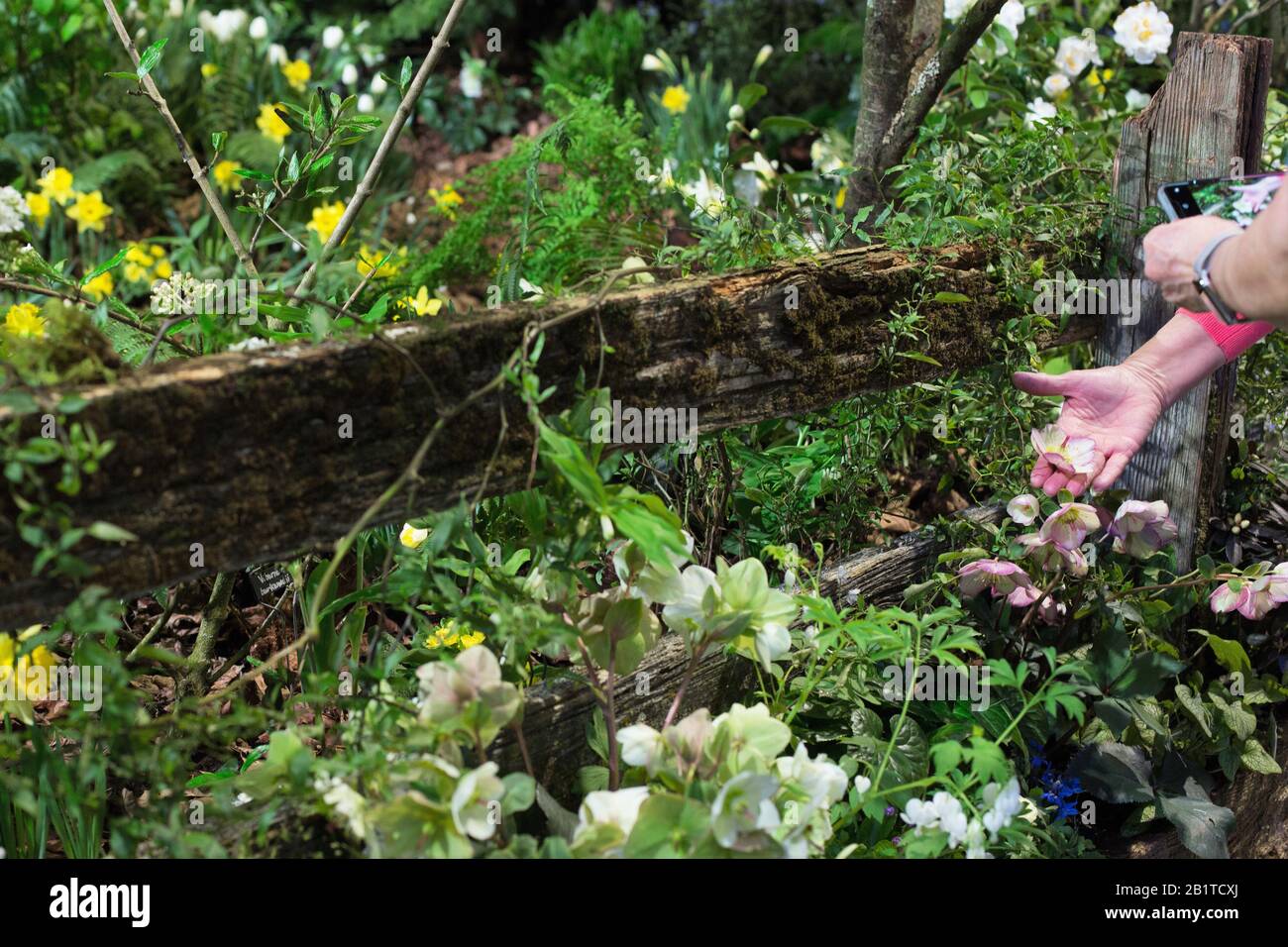 Northwest flower and garden festival hi-res stock photography and ...